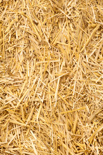 Straw - M&N Hay Sales of NJ